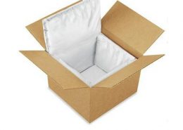 Case erecting and tray forming machines for RSC cases and die cut trays